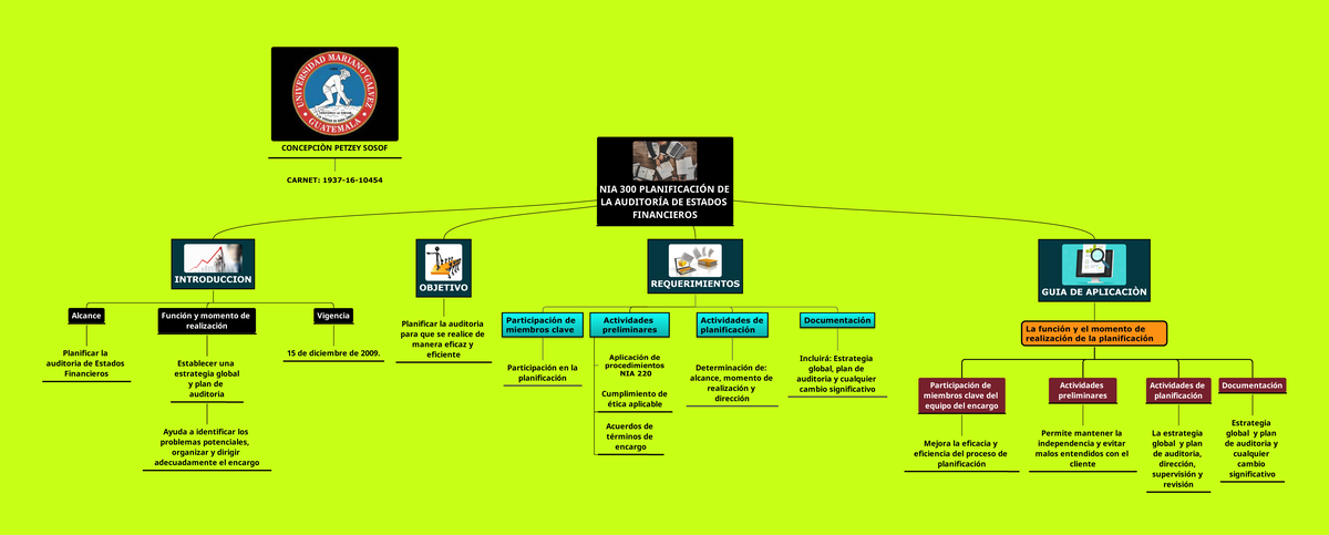 NIA 300 Planificación DE LA Auditoría DE Estados Financieros ...