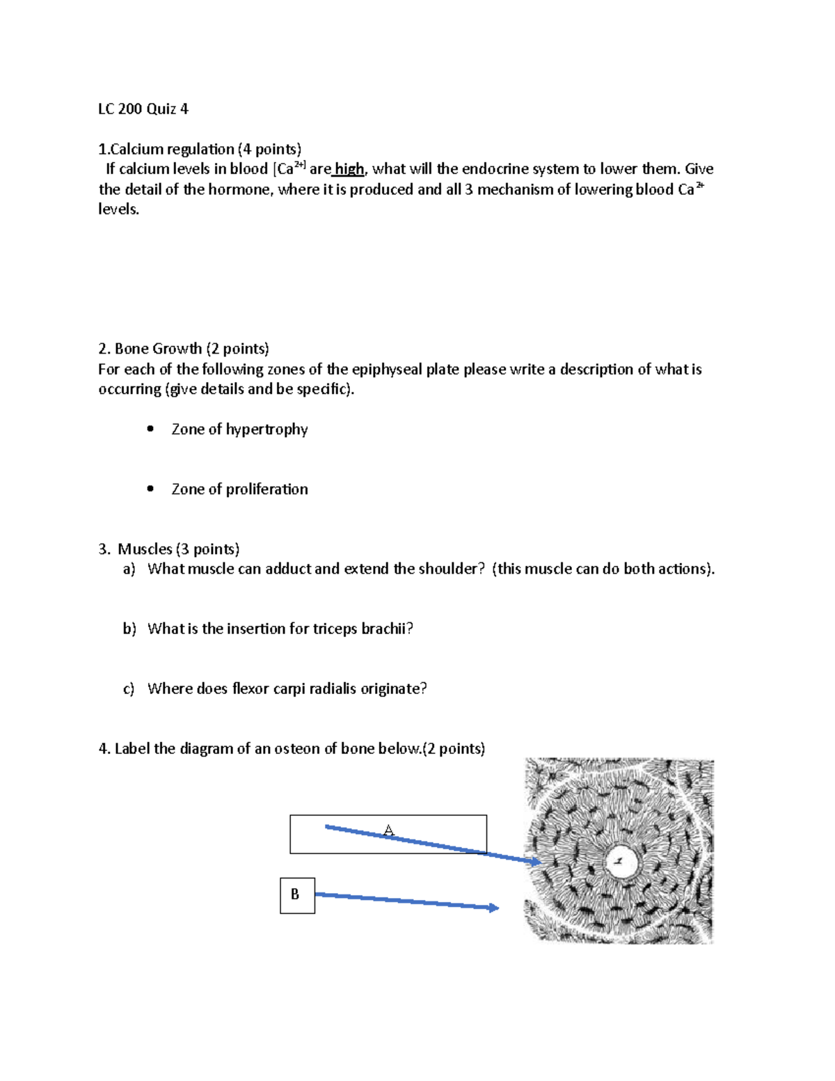 LC 200 Quiz 4 - practice quiz - LC 200 Quiz 4 1 regulation (4 points ...