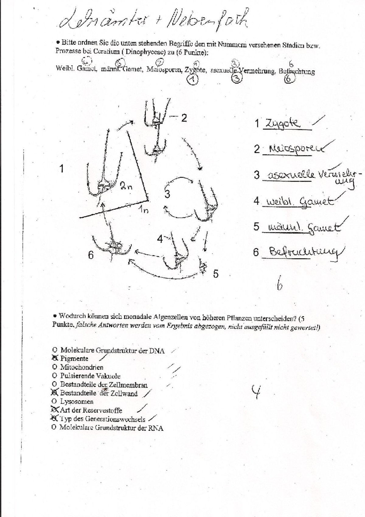 Lehramt Biologie Bio Div - Lerramter Neberpath Bitte ordnen Sie die ...