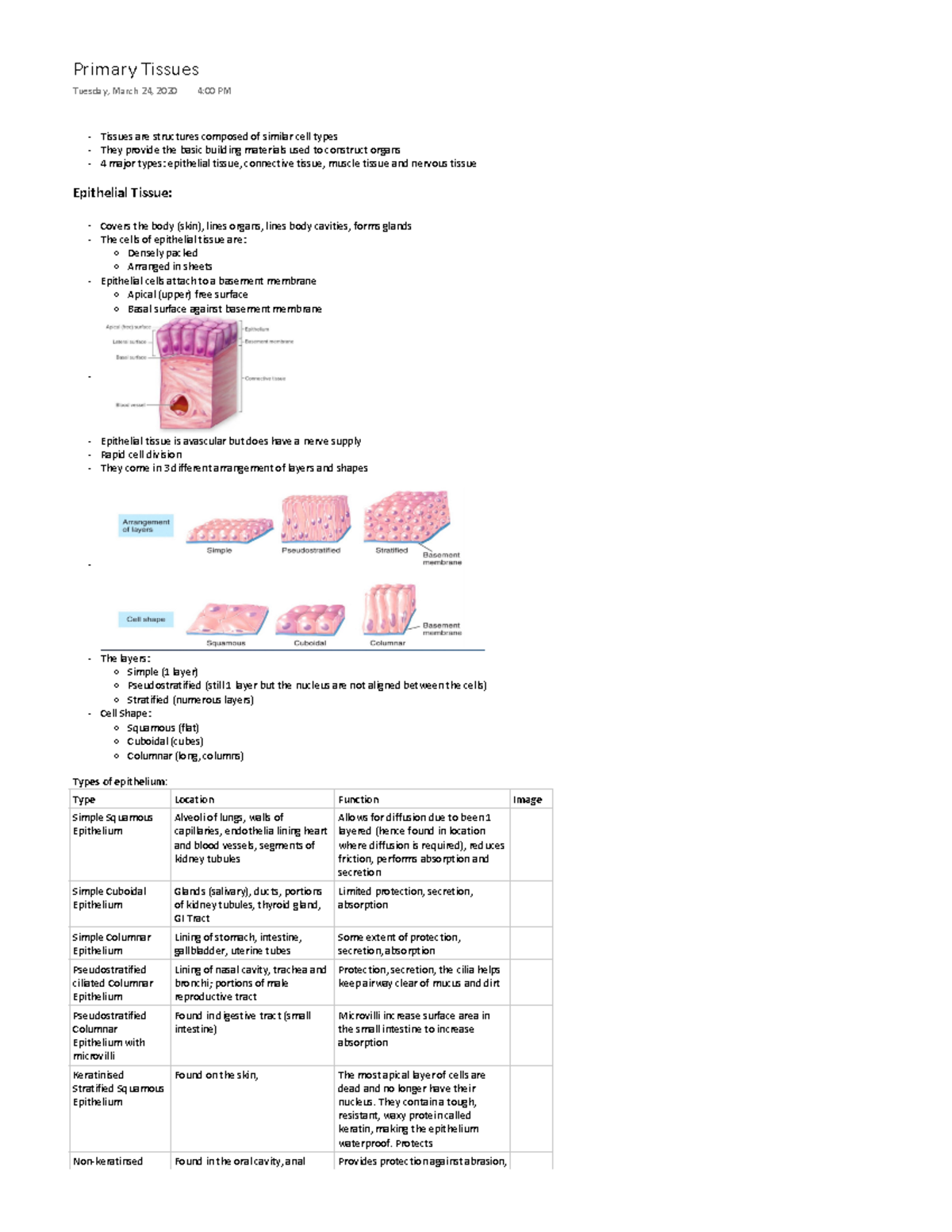 Tissues and Histology - Warning: TT: undefined function: 32 - Studocu