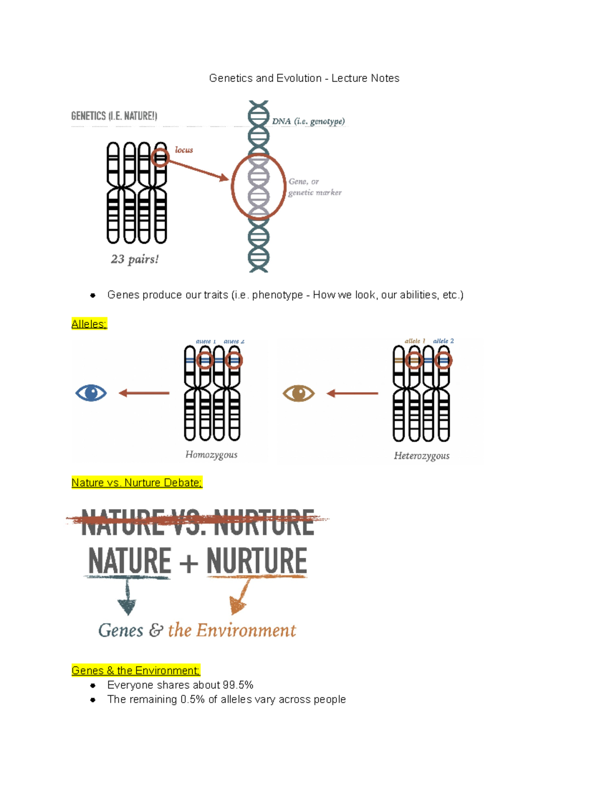 Genetics and Evolution - Lecture Notes - phenotype - How we look, our ...