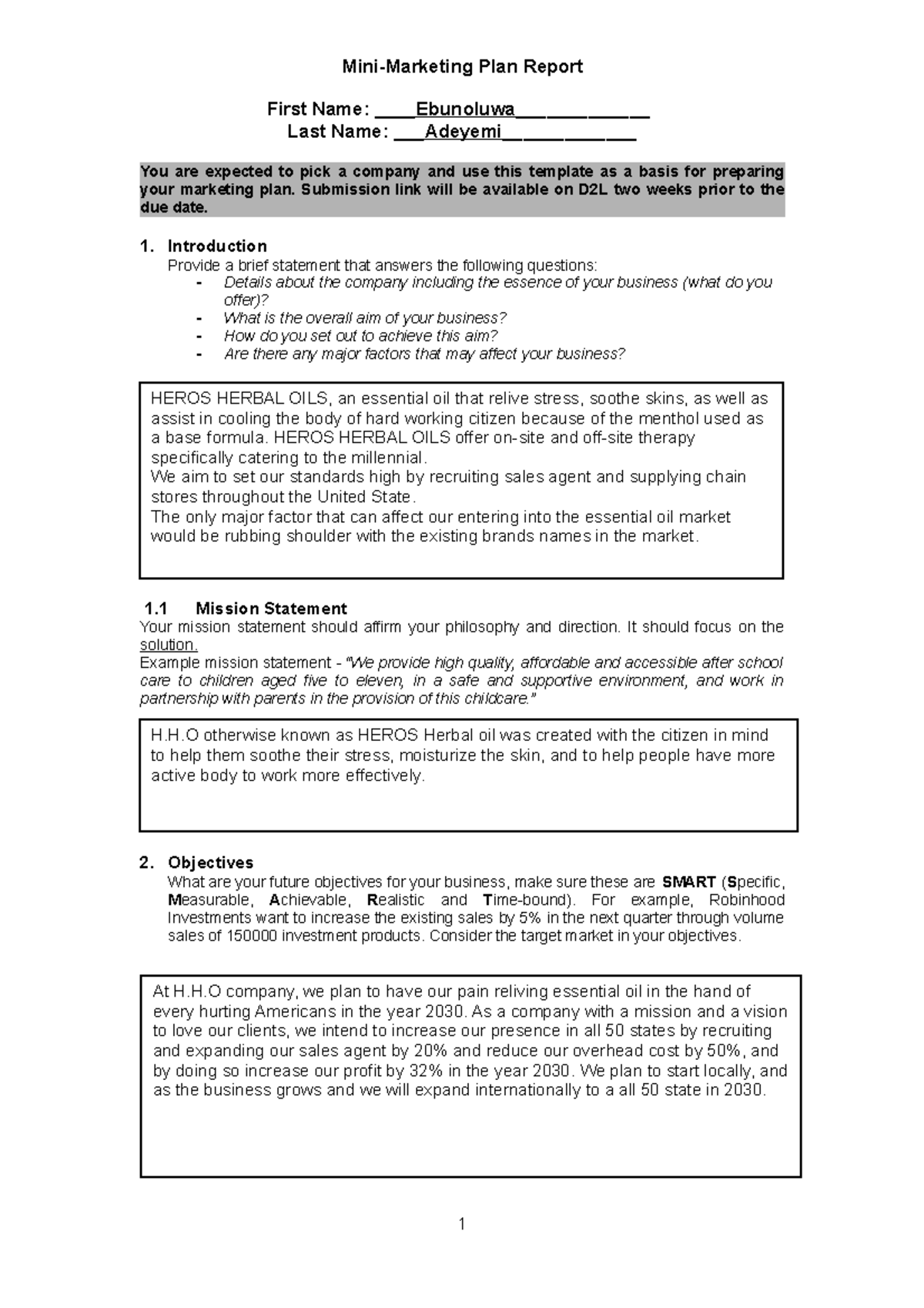 Mini-Marketing Plan Report final - MKT 3830 - MTSU - Studocu