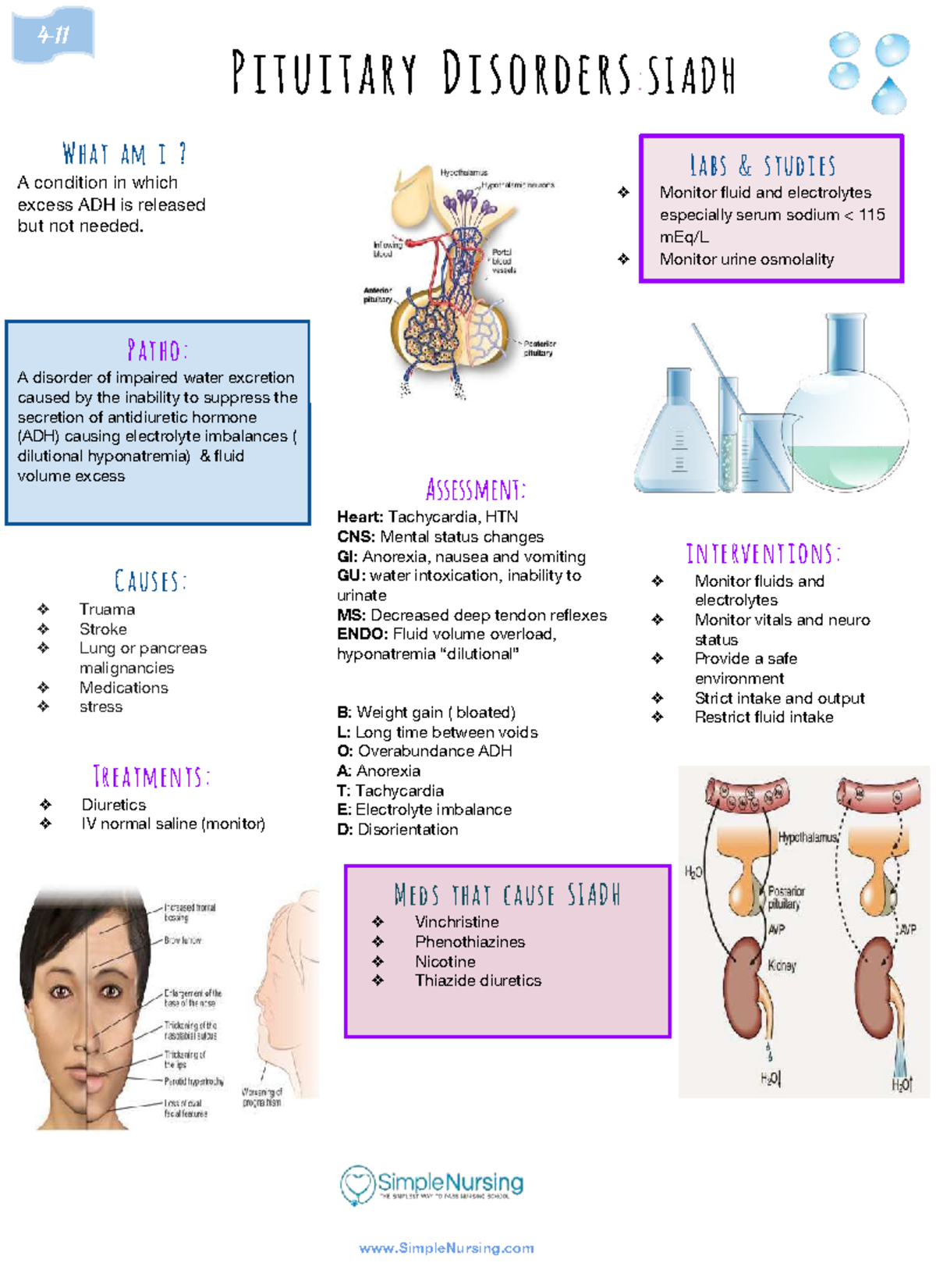 Endocrine handout Pituitary Siadh - Treatments: Diuretics IV normal ...