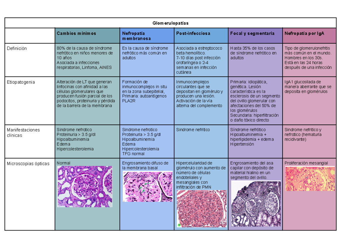 Glomerulopatías resumen - Glomerulopatías Cambios mínimos Nefropatía membranosa Post-infecciosa ...