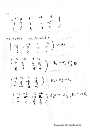 Programa Algebra Lineal - UNIVERSIDAD NACIONAL DE COLOMBIA DEPARTAMENTO ...