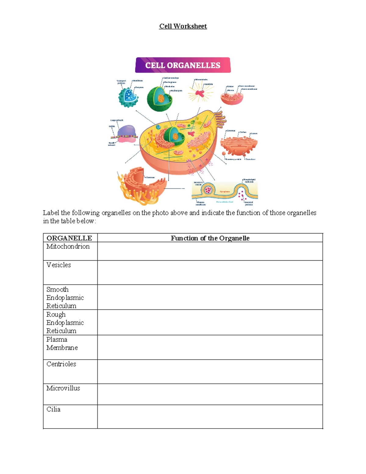 BIOS251 Week 3 Cell Worksheet - Label the following organelles on the ...