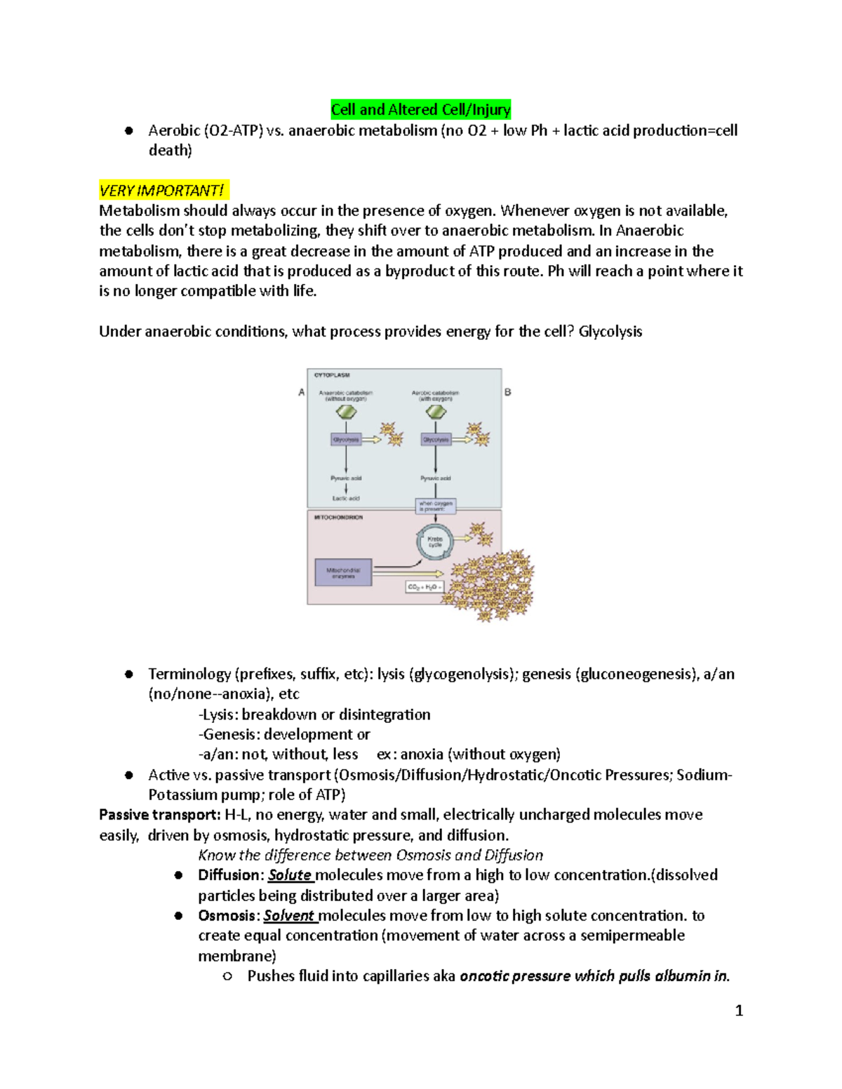 Copy of Patho Key Concepts- Exam One FA21 - Cell and Altered Cell/Injury Aerobic (O2-ATP) vs ...