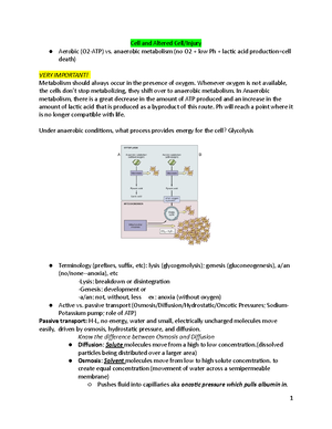 Ch07 study guide - review - Chapter 7 Metabolism: From Food to Life ...