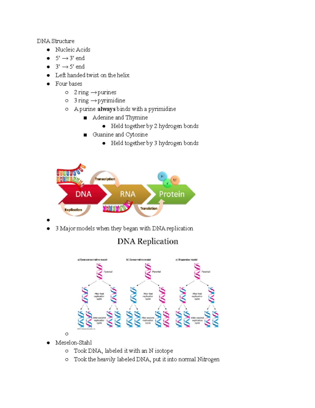 Chapter 12 DNA Replication - DNA Structure Nucleic Acids 5’ → 3’ end 3 ...