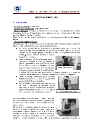 Guia Practica 5 Concepto Brunnstrom 1- 2017-18 - BRUNNSTROM (I ...