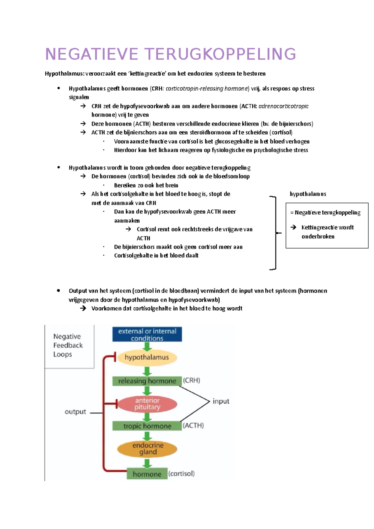 Negatieve terugkoppeling: samenvatting filmpje sofia - neurologische en inwendige systemen - Studocu