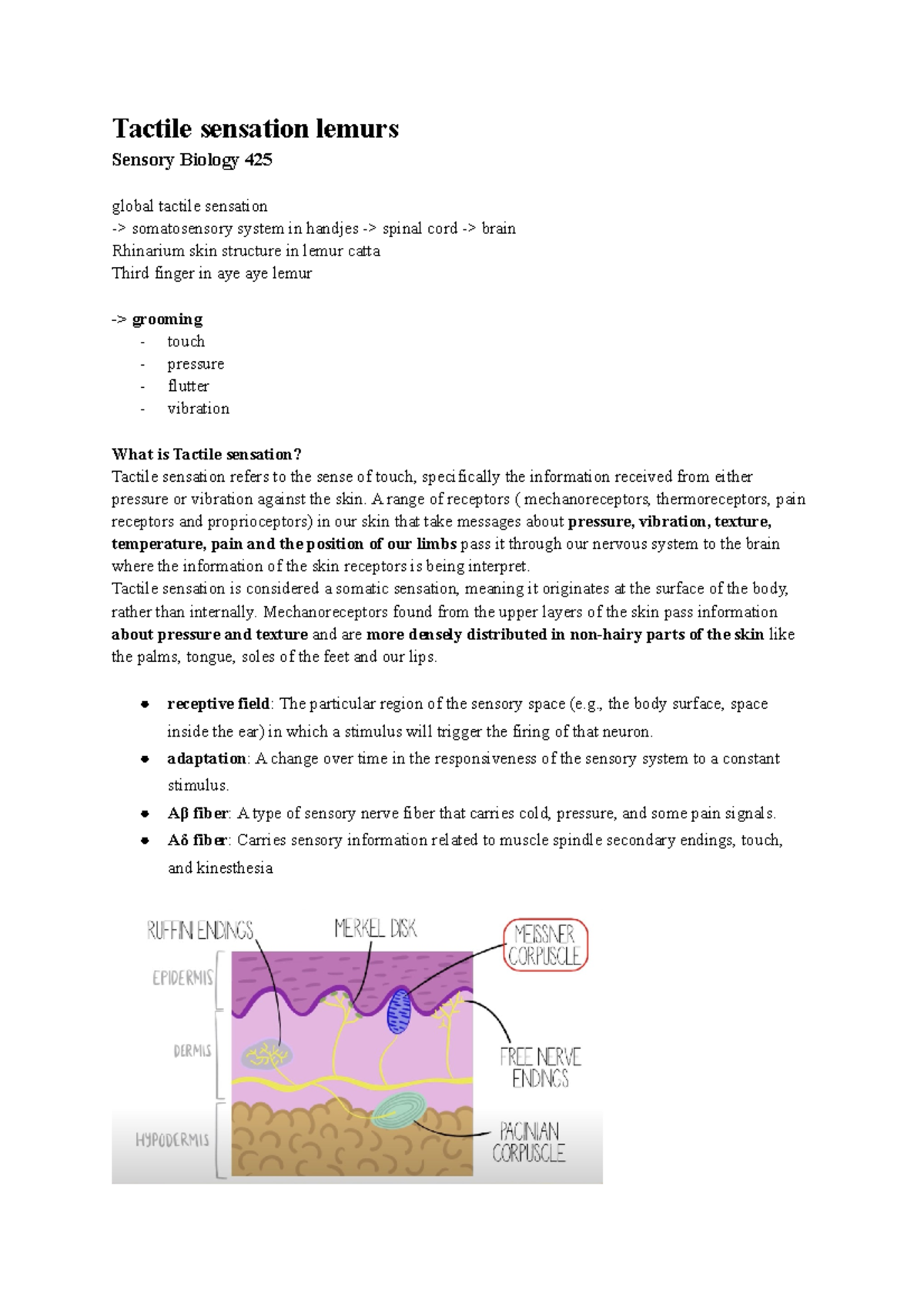 Tactile sensation lemurs - Tactile sensation lemurs Sensory Biology 425 ...