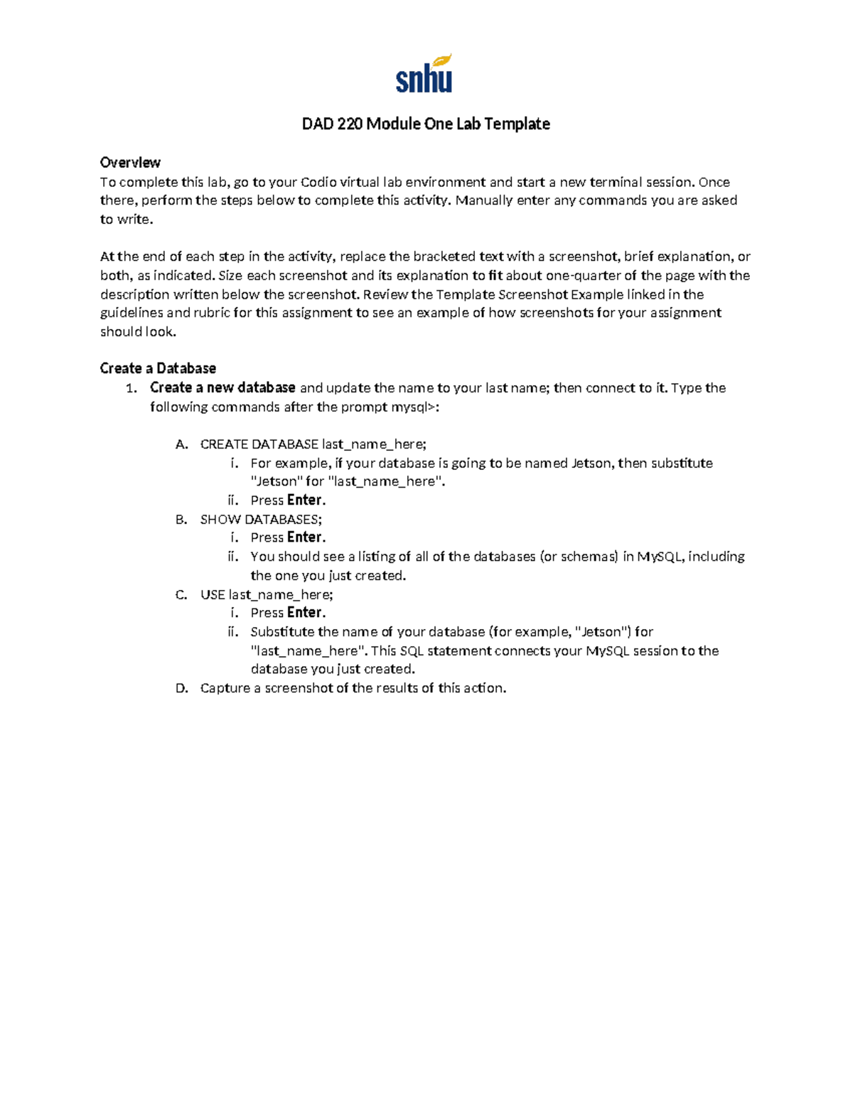 Mod1Lab - DAD 220 Module One Lab Template Overview To complete this lab ...