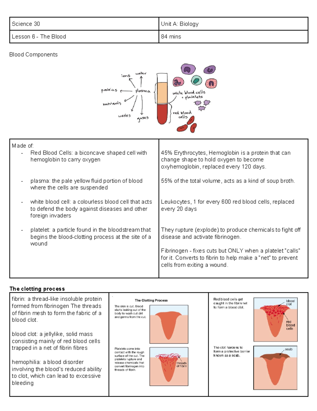 The Blood - Review + Practice problems - Science 30 Unit A: Biology ...