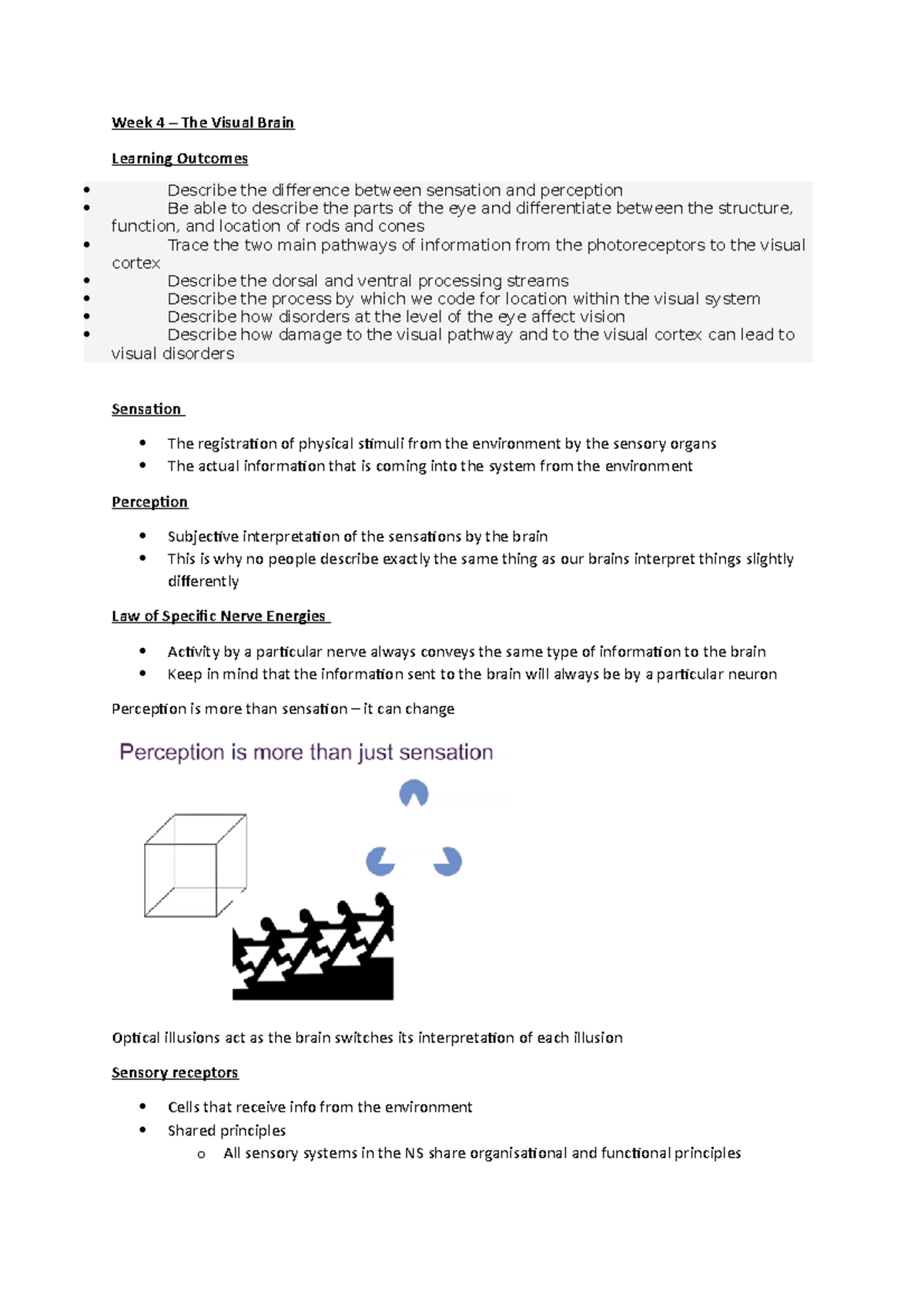 Week 4 visual brain - Lecture notes 4 - Week 4 – The Visual Brain ...