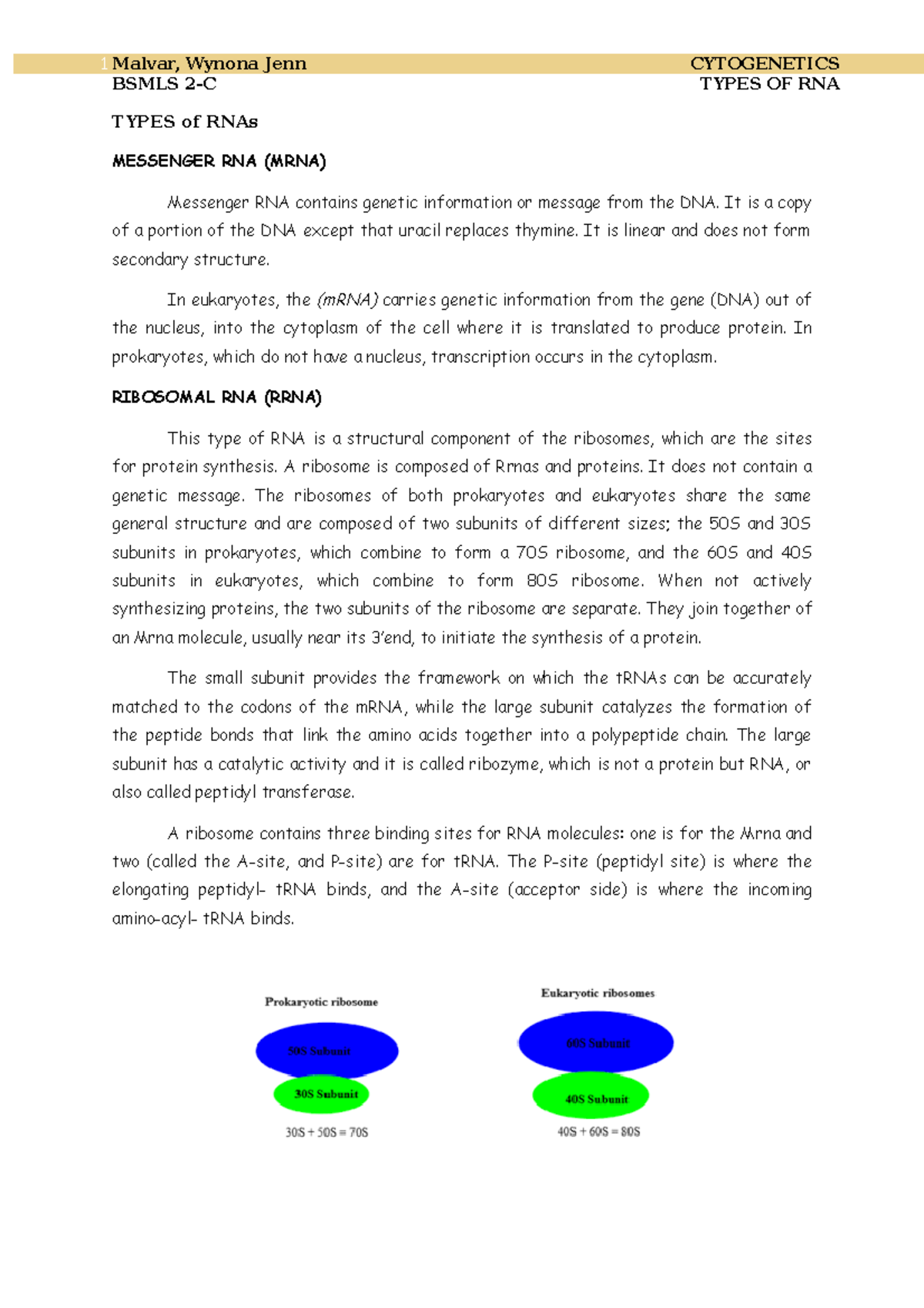 Types OF RNA Module - CYTO - BSMLS 2-C TYPES OF RNA TYPES of RNAs ...