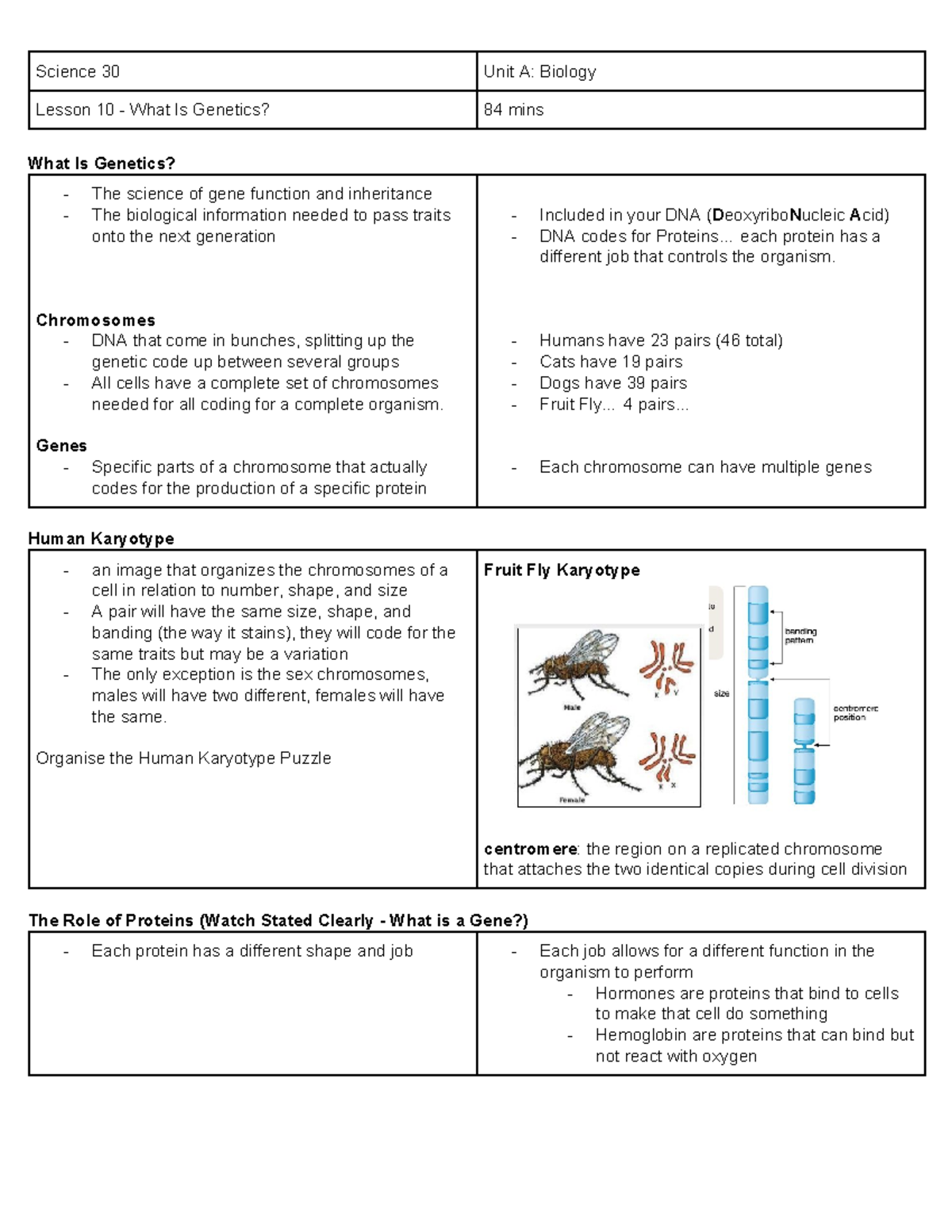 What Is Genetics - Review + Practice problems - Science 30 Unit A ...