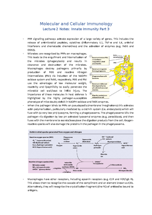 [Solved] a What are the main differences between Duchenne and Becker - Molecular And Cellular ...