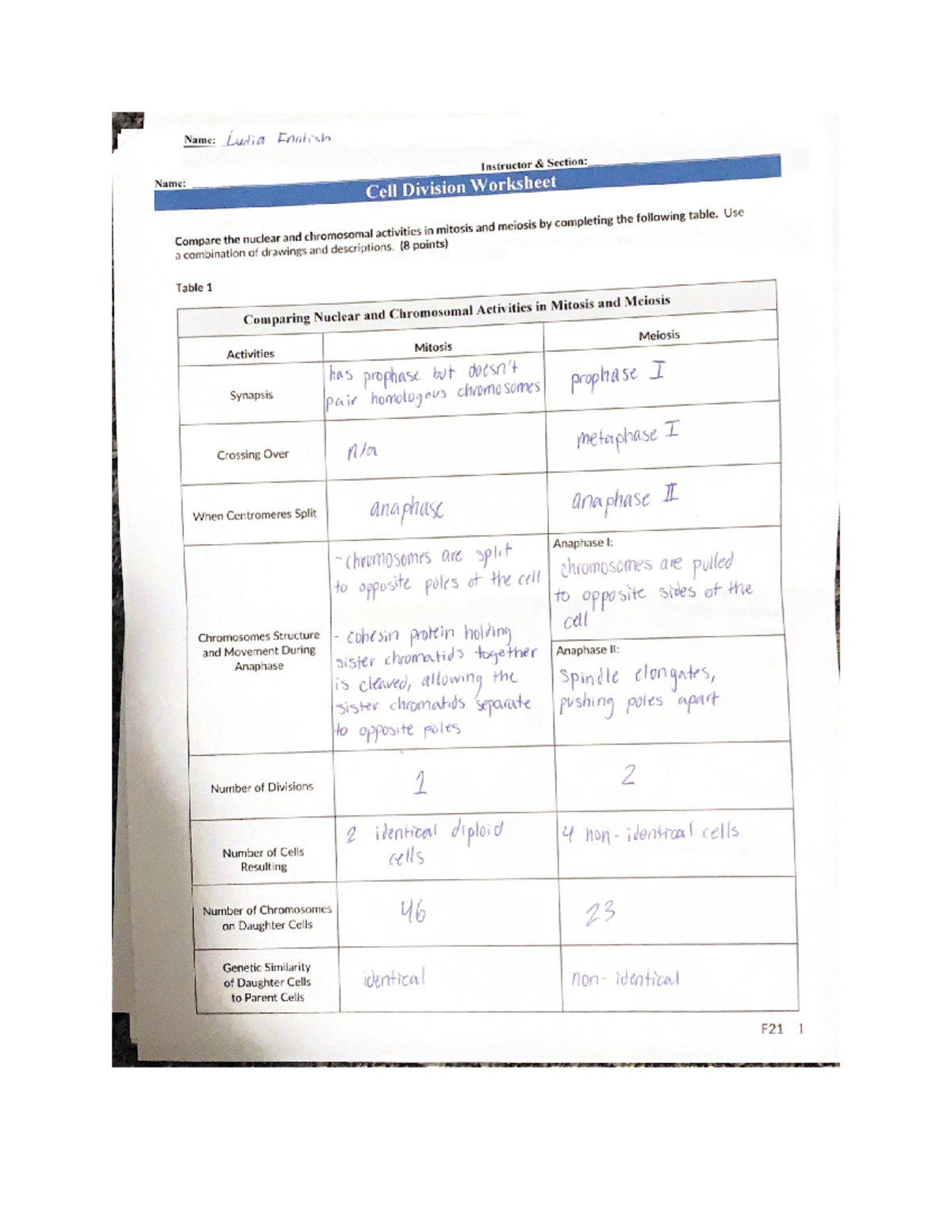 Cell Division Lab with data - BIO-181L - Studocu