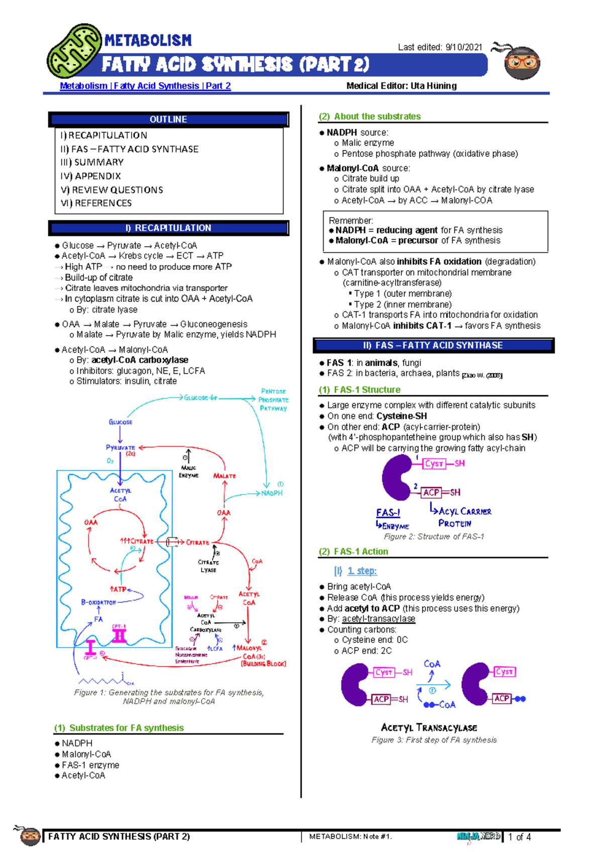 Fatty Acid Synthesis Part two atf - FATTY ACID SYNTHESIS (PART 2 ...