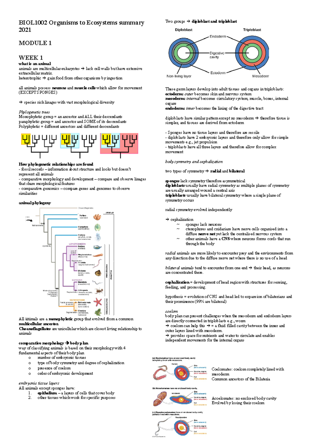 Module 1 summary - BIOL1002 Organisms to Ecosystems summary 2021 MODULE ...
