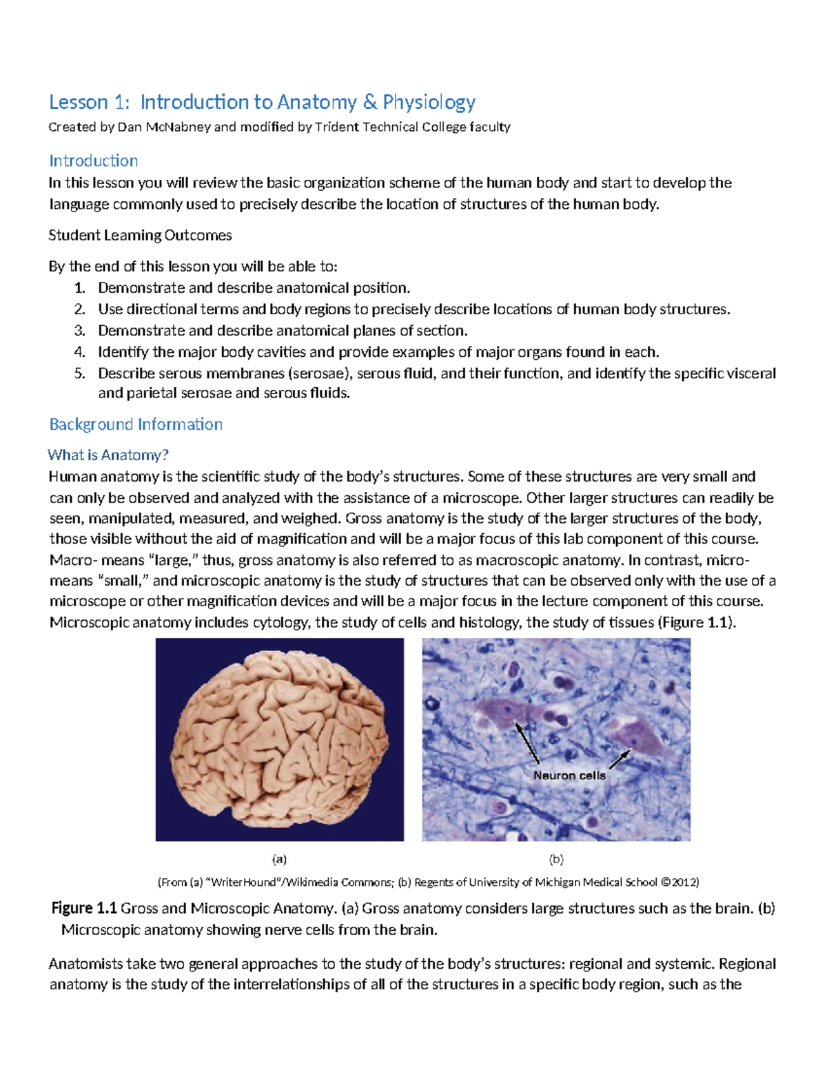 Lesson 1 - Intro to Anatomy and Physiology - Lesson 1: Introduction to ...