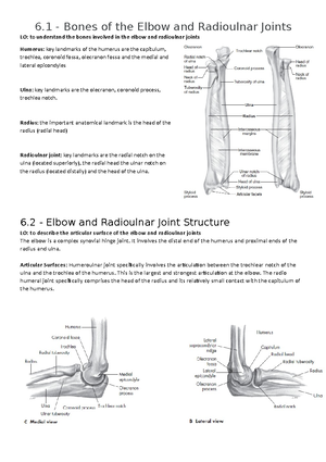 Chapter 6 - Anatomy of the skeletal muscles. - The Elbow and Radioulnar ...