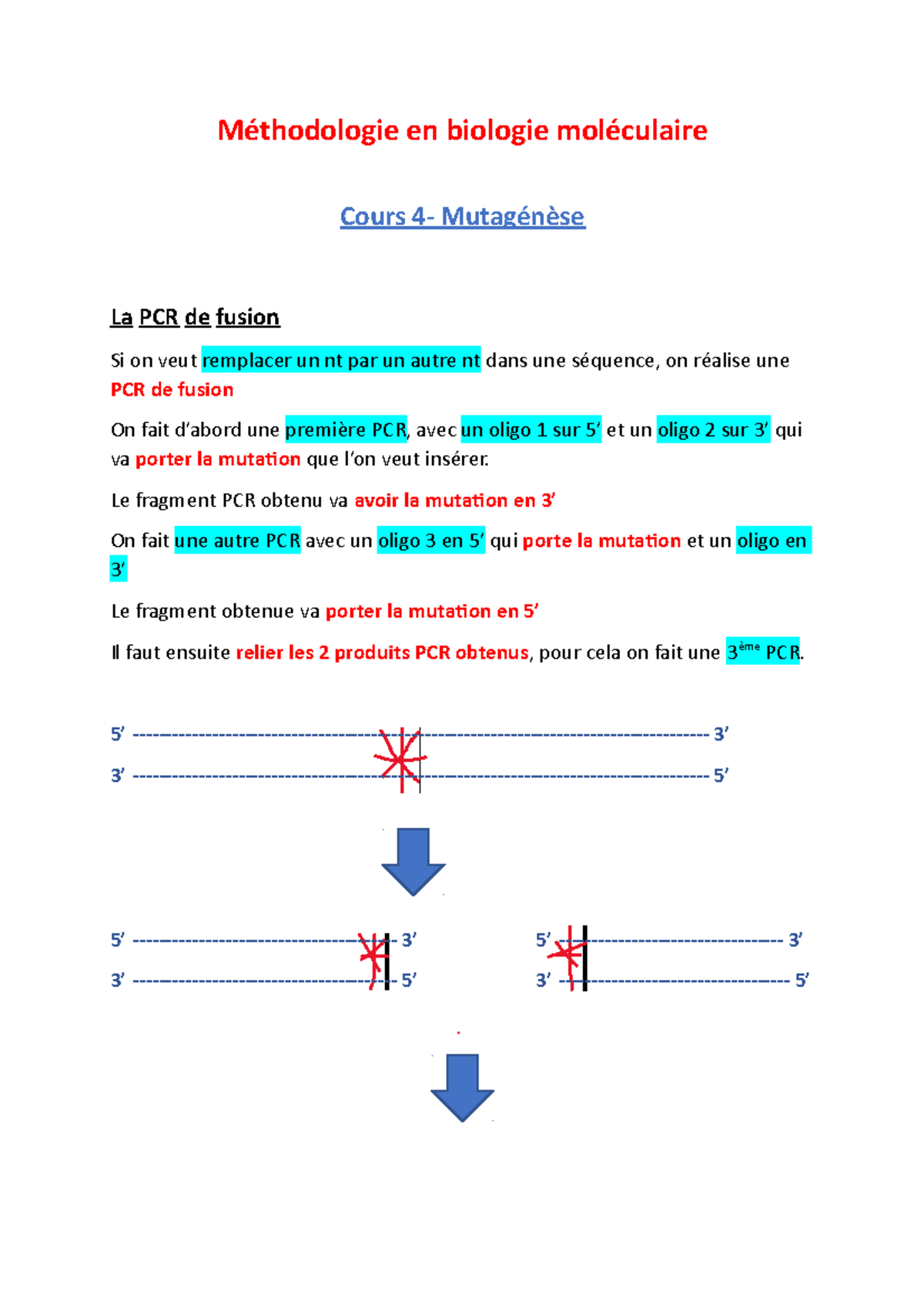 CM4 - L3 2B2M Mutagénèse - Méthodologie en biologie moléculaire Cours 4- Mutagénèse La PCR de ...