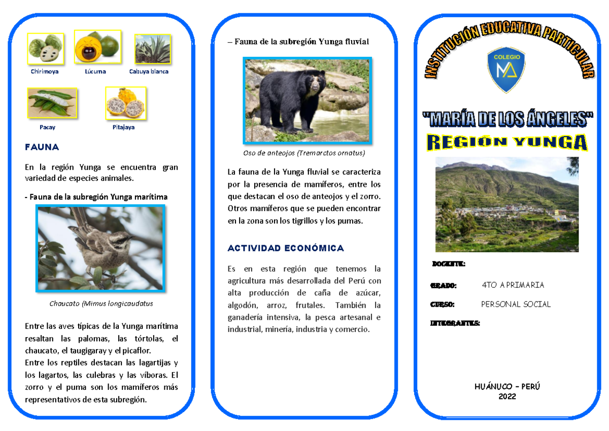 Trítico PS Región Yunga - Chirimoya Lúcuma Cabuya blanca Pacay Pitajaya ...