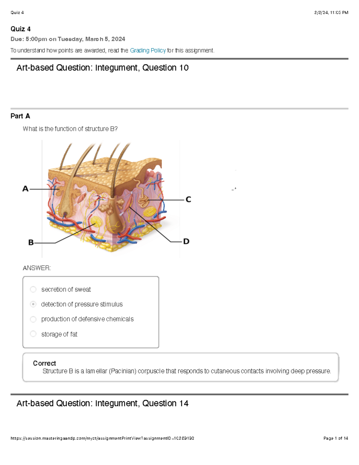 Quiz 4 practice for lecture bio 234 for professor s. verma - Quiz 4 Due ...