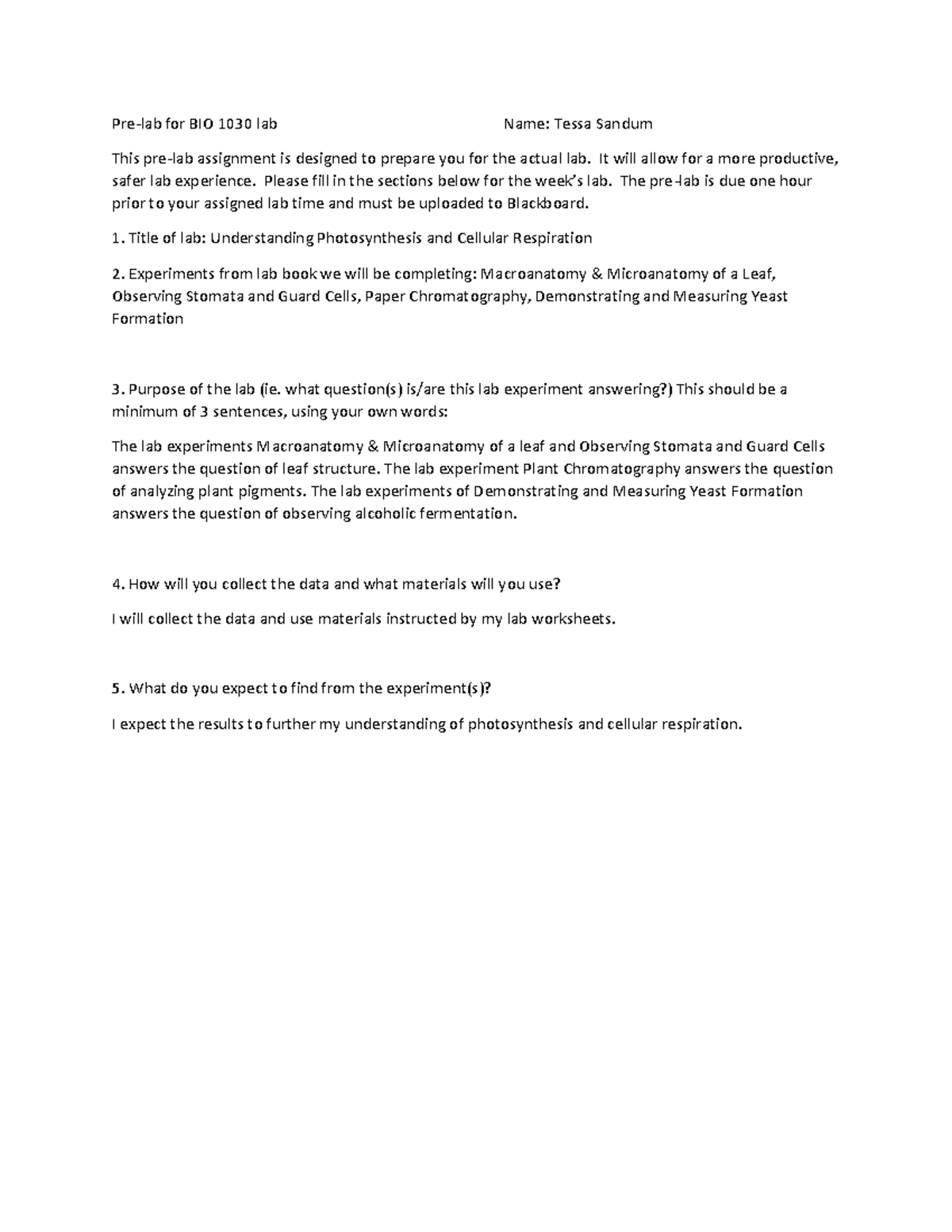 Understanding Photosynthesis and Cellular Respiration - Pre-lab for BIO ...