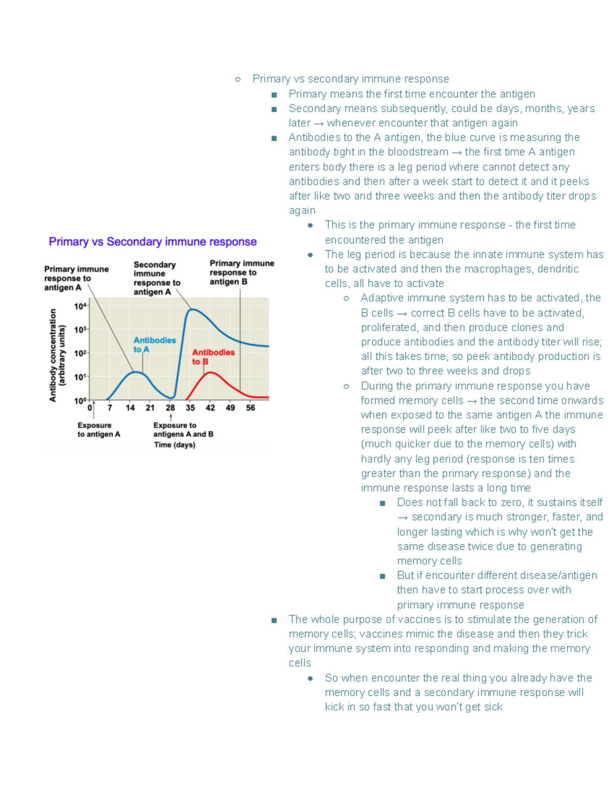 MCDB 1B Immune System 2 - Primary vs secondary immune response Primary ...