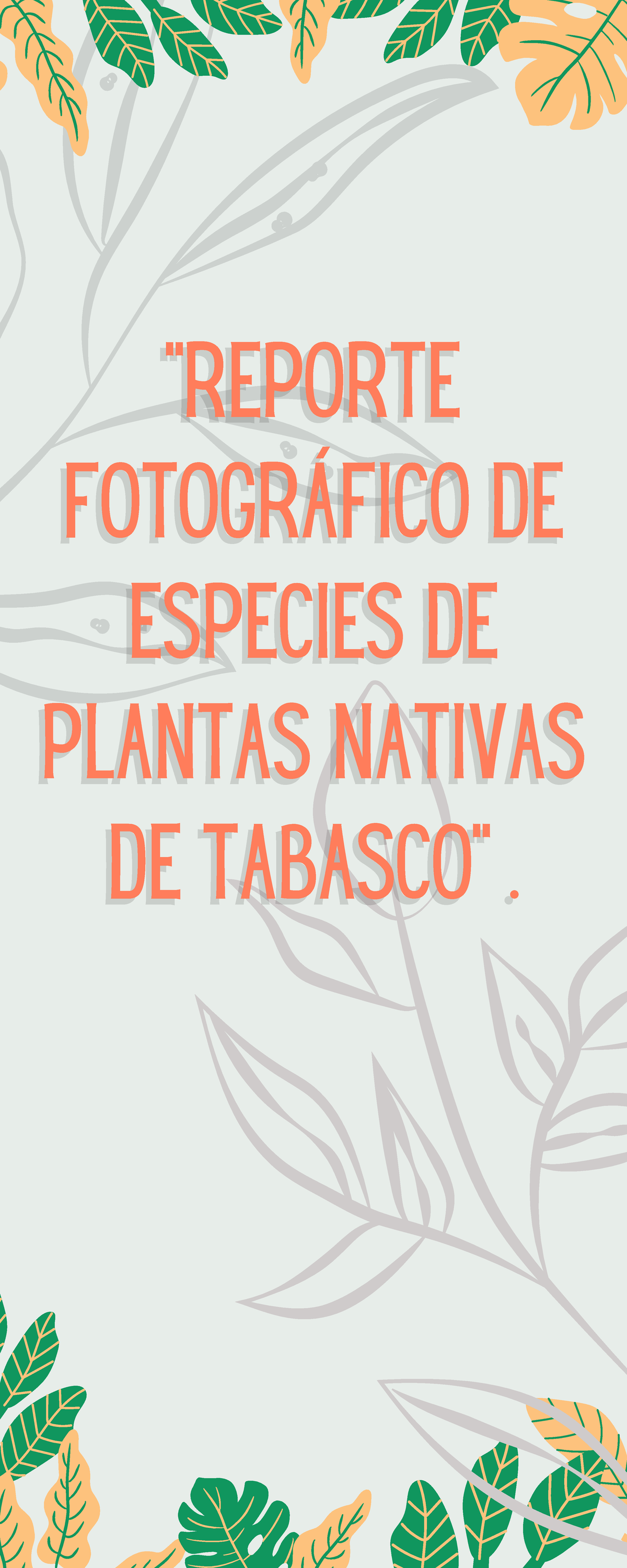 6AMAT Situacion Didáctica 1-Vanya-Cecilia-Sherlyn-Emilio - “REPORTE ...