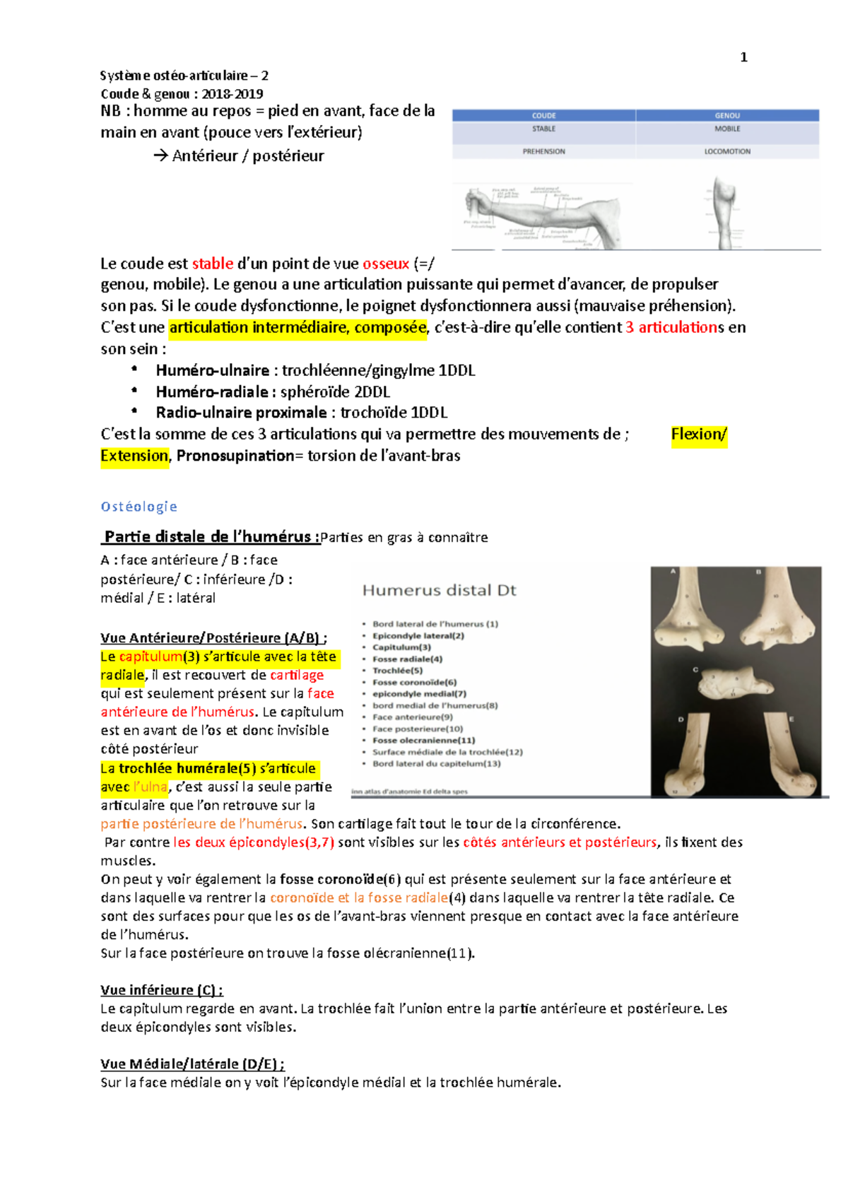 2. Anatomie coude et genou - Warning: TT: undefined function: 32 Système ostéo-ar/culaire – 2 ...