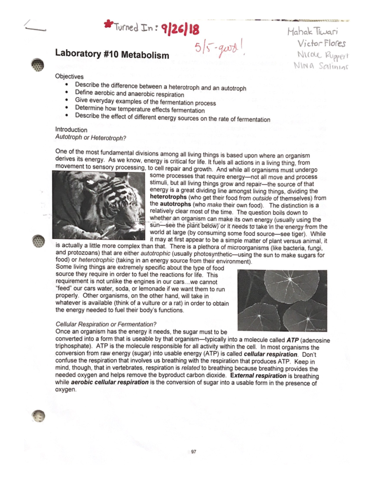 Lab 10 - Lab Work - BIOL-115 - Studocu