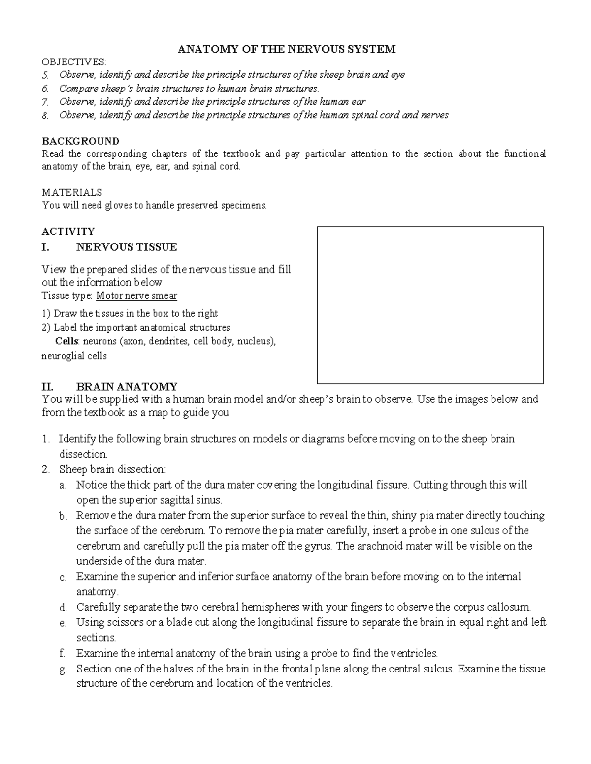 Biology 20 Lab Manual V 2C - ANATOMY OF THE NERVOUS SYSTEM OBJECTIVES ...
