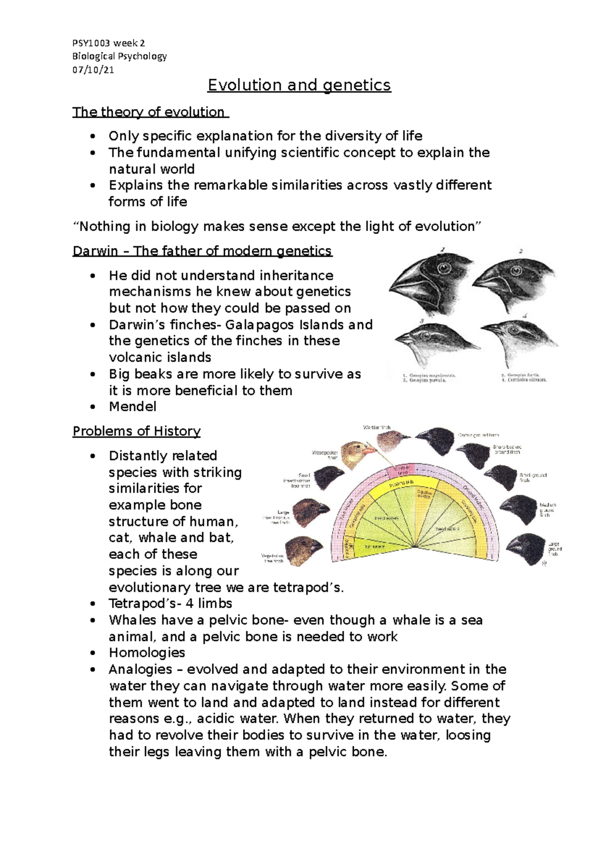 Evolution - PSY1003 week 2 Biological Psychology 07/10/ Evolution and ...
