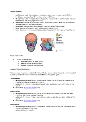 Manifest and latent strabismus - Manifest and latent strabismus ...
