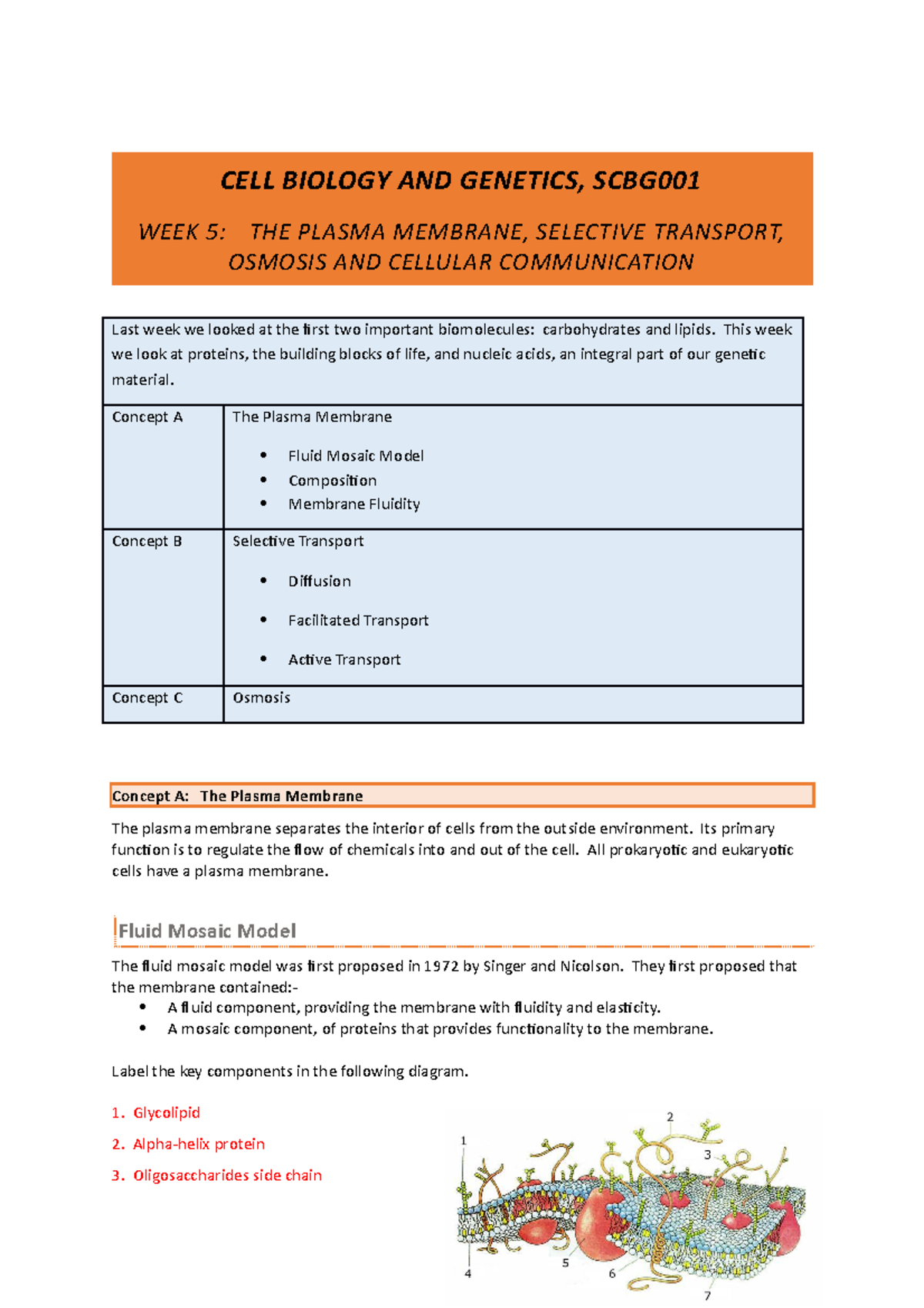 Week 5 - Key concept notes - CELL BIOLOGY AND GENETICS, SCBG WEEK 5 ...