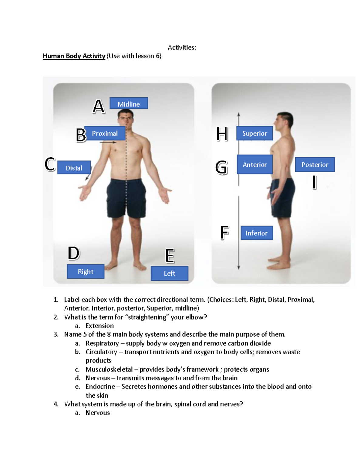 Human Body Activity - Assignment - KNR 180 - ISU - Studocu