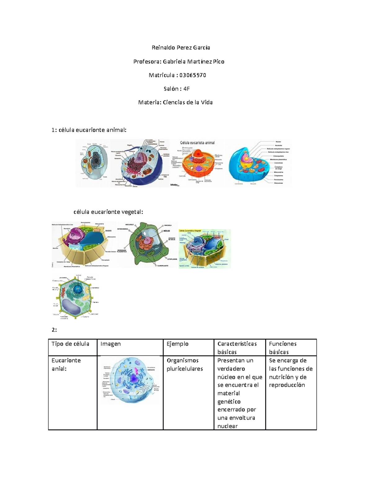 Actividad 3 ciencias de la vida - Reinaldo Perez García Profesora ...