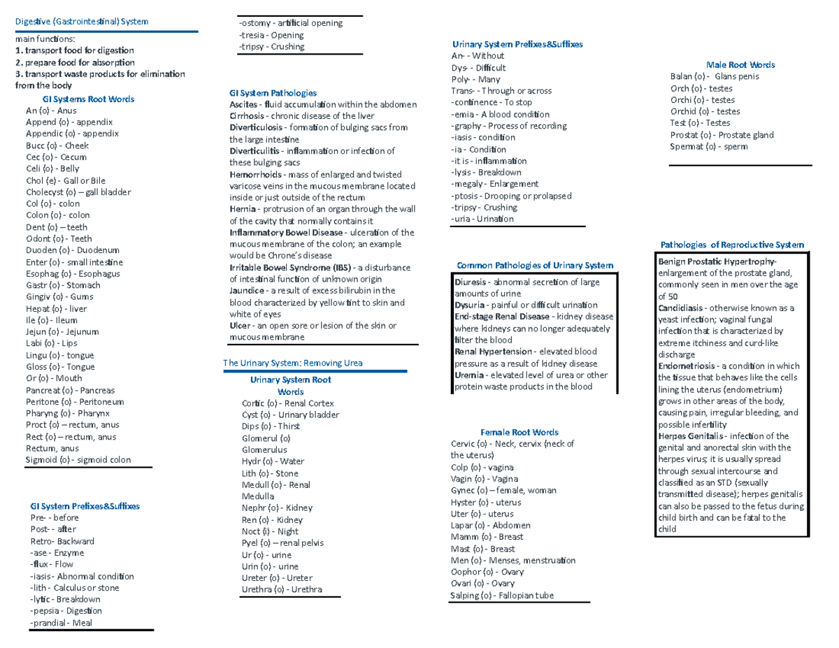 Test 6 review - Digestive (Gastrointestinal) System main functions: 1 ...