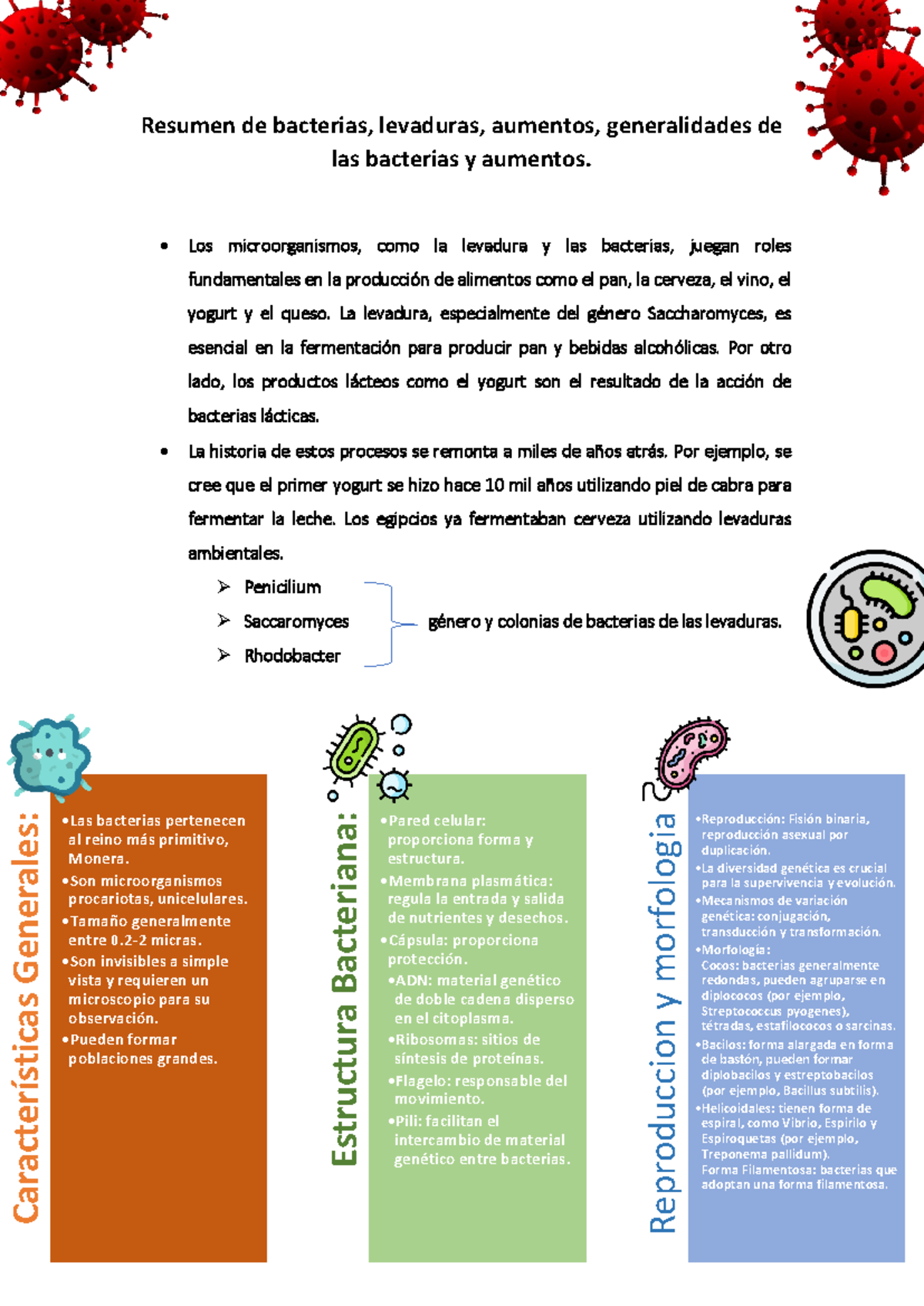 Resumen de bacterias - .fgdfgdfg - Resumen de bacterias, levaduras ...