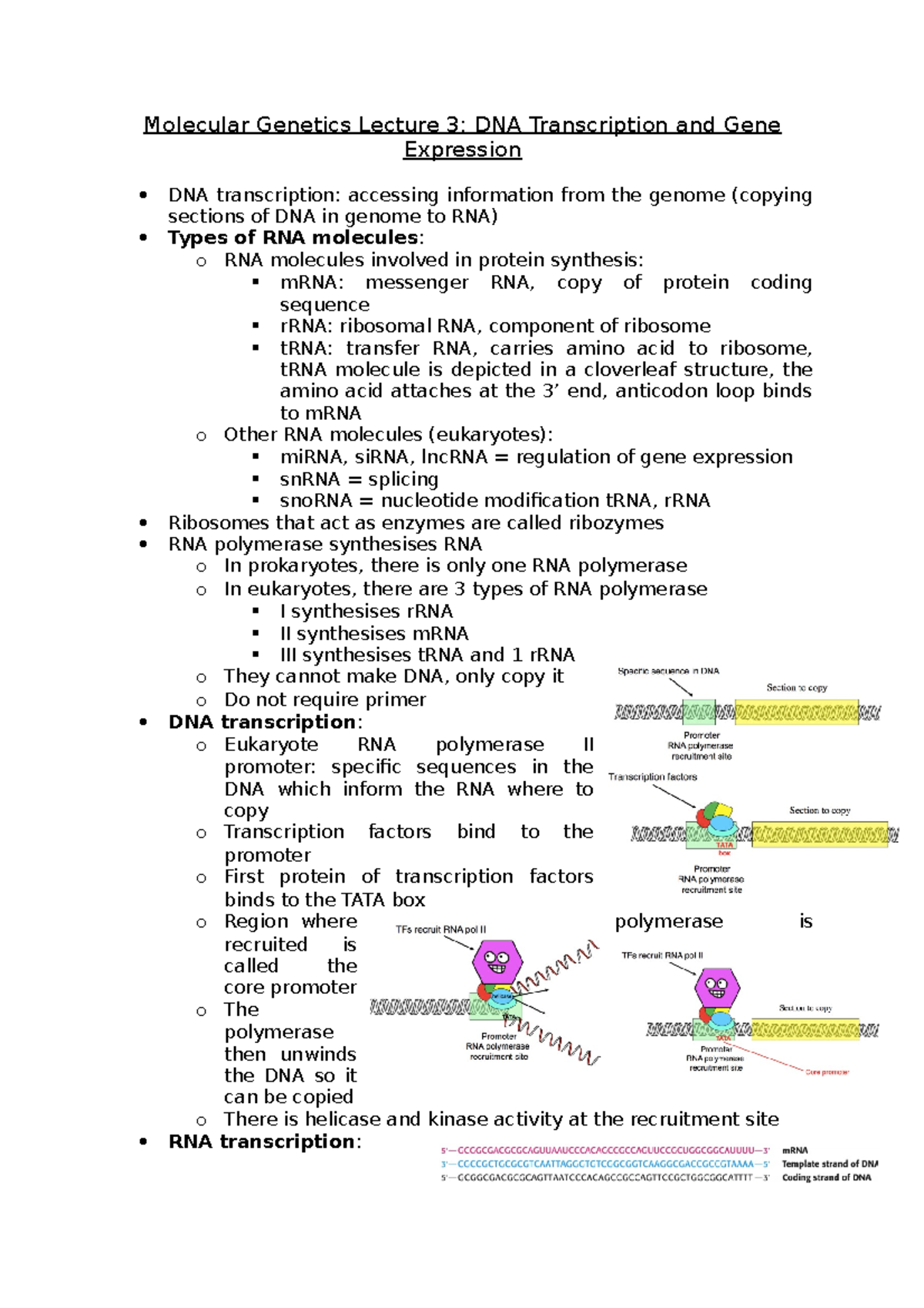 Genetics and Development Lecture 3 - DNA Transcription and Gene ...