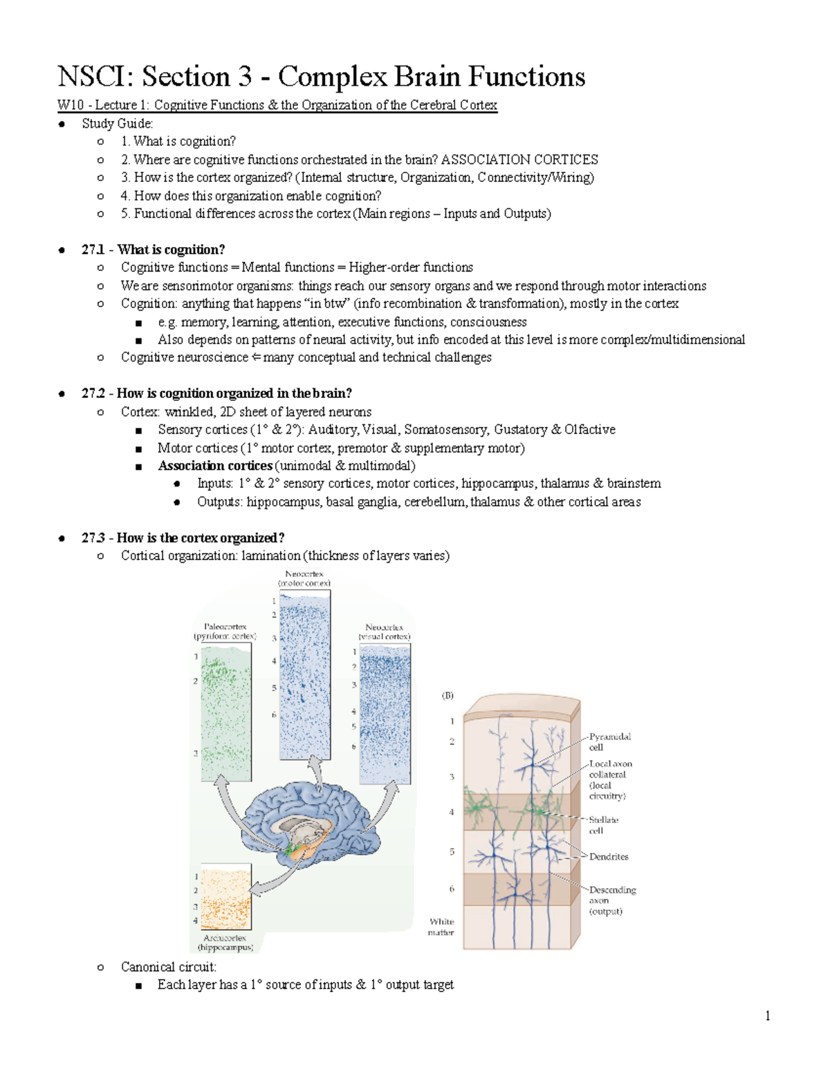 Complex Brain Functions (cognition, cortical states, attention, memory ...
