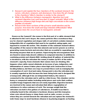 Lesson 1 Lab Assignment - Deprecated API usage: The SVG back-end is no ...