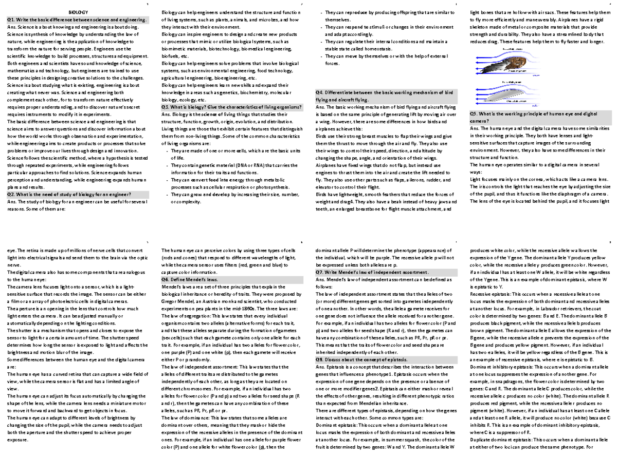 8m Biology - Data communication Components: Representation of data and ...