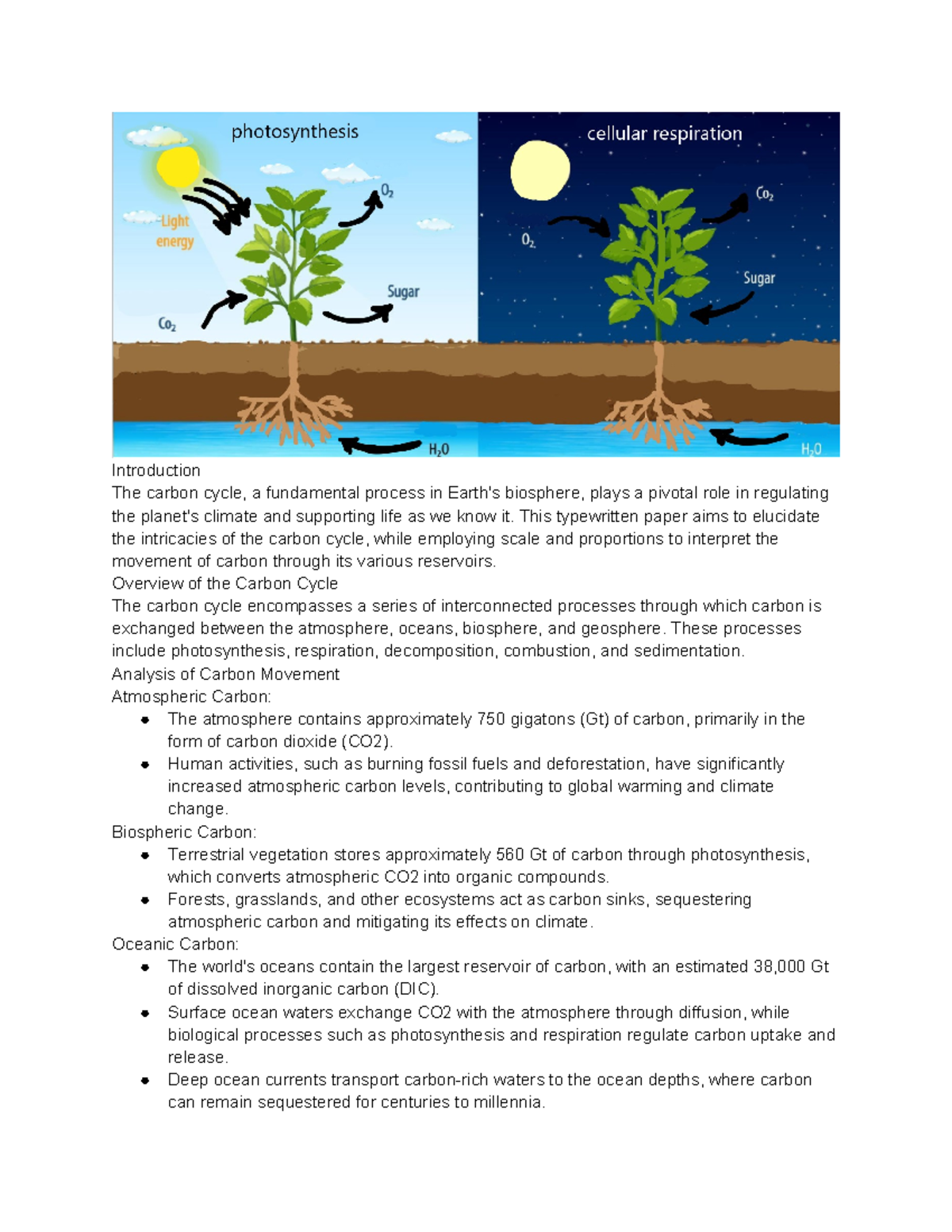 The Cycles of Matter - Introduction The carbon cycle, a fundamental ...
