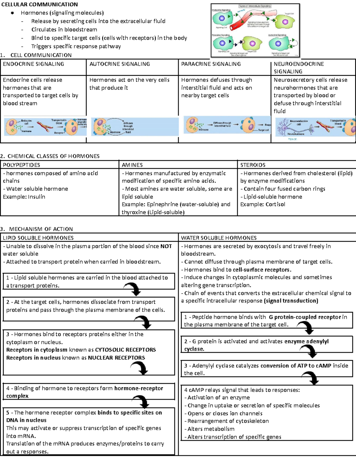 CH 5 Hormonal AND Nervous System - CELLULAR COMMUNICATION Hormones ...