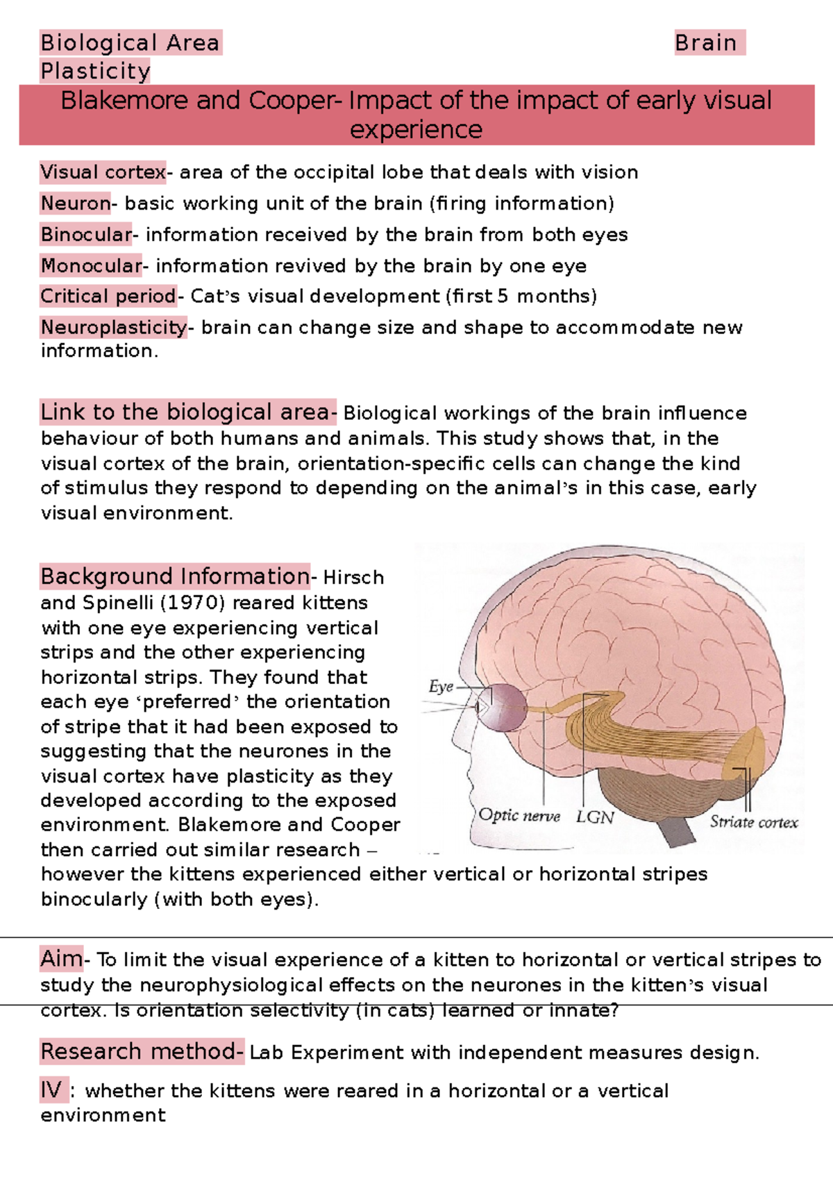 A- Level Psychology Biological Area Notes Blakemore and Cooper ...